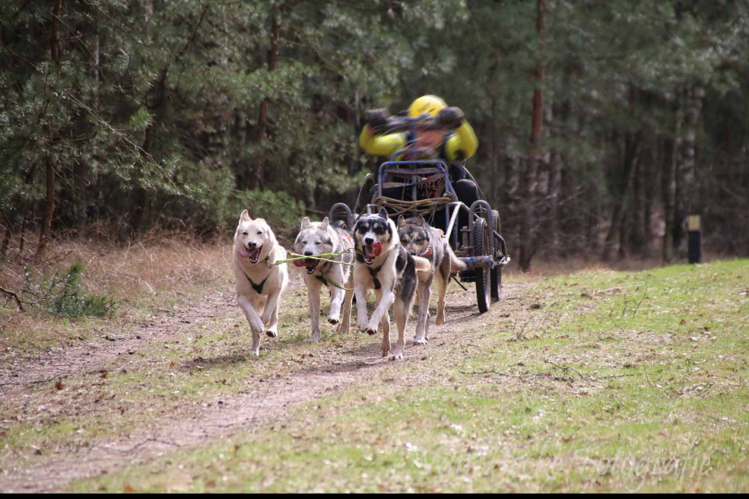 Mushing – FBMC